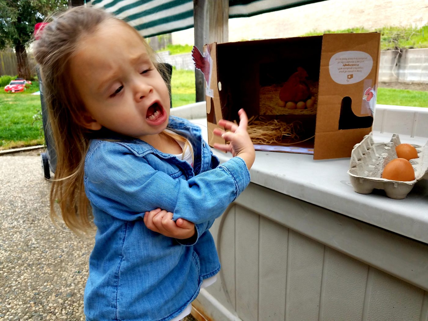 Fun School Preschool – On the Farm Theme • High Energy Mommy