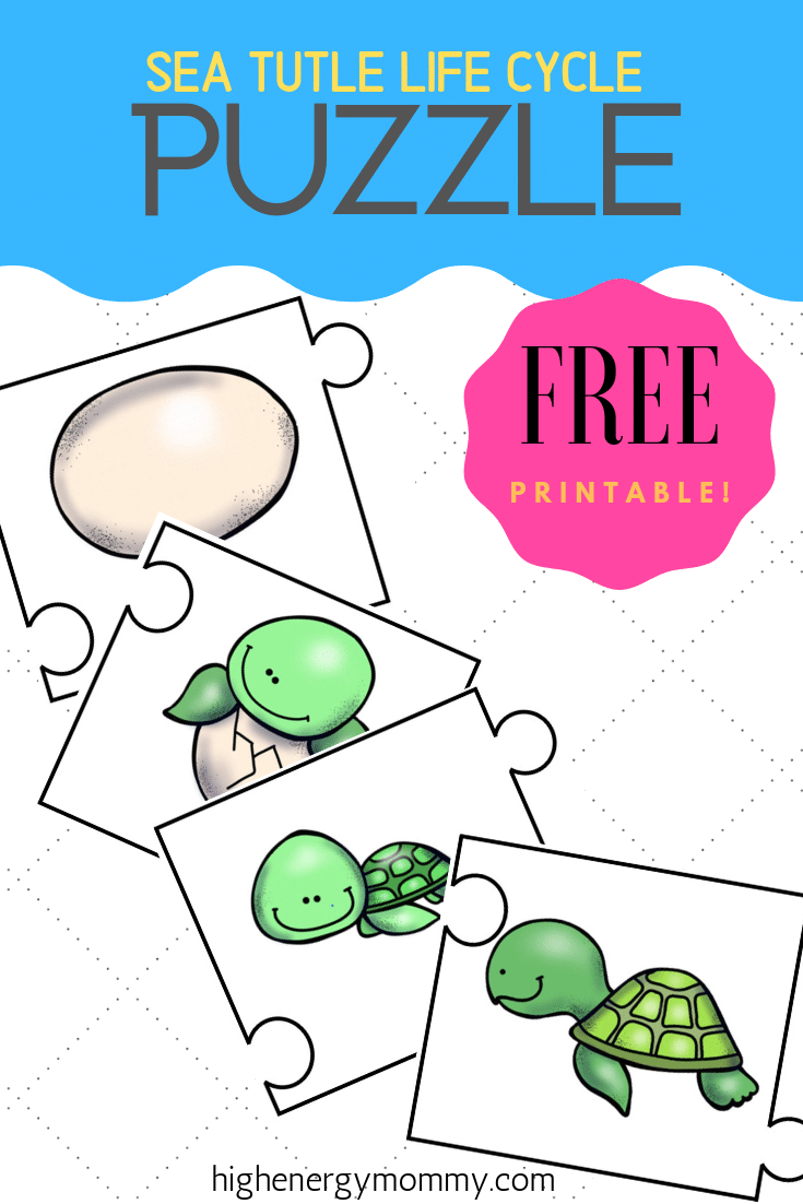 Fun School Preschool: Frogs and Turtles Theme • High Energy Mommy
