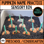 Fall Pumpkin Name Practice Sensory Bin • High Energy Mommy