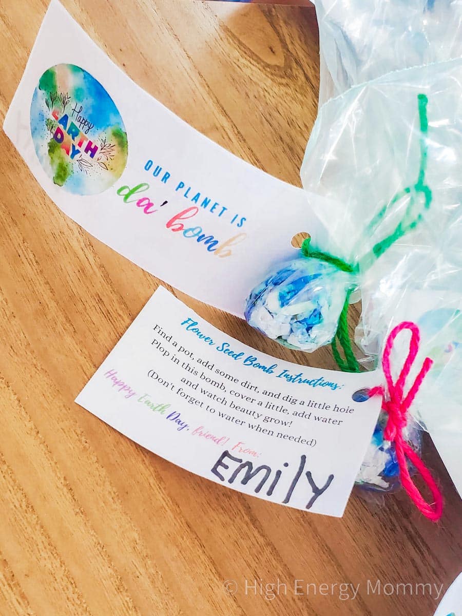 DIY Flower Seed Bombs for Earth Day • High Energy Mommy