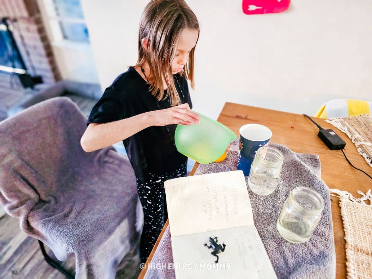 How to Make a DIY Spell Book for Kids (plus Free Printable Potion Lab ...